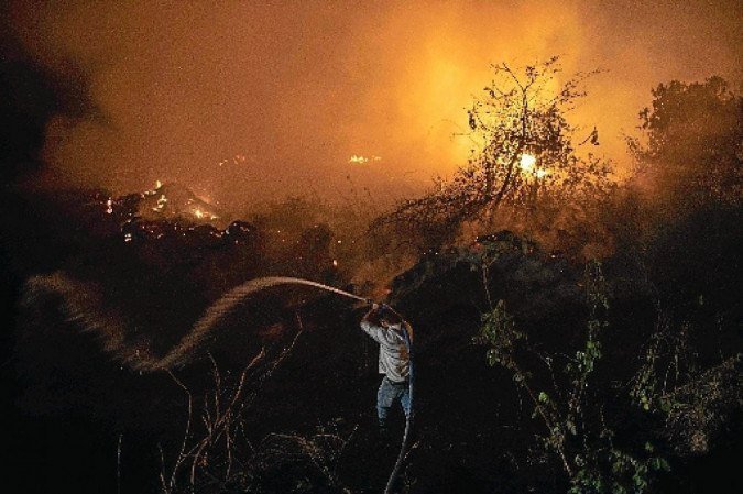 Desastre Ambiental Pelo Menos 17 Milhões De Animais Morreram Em