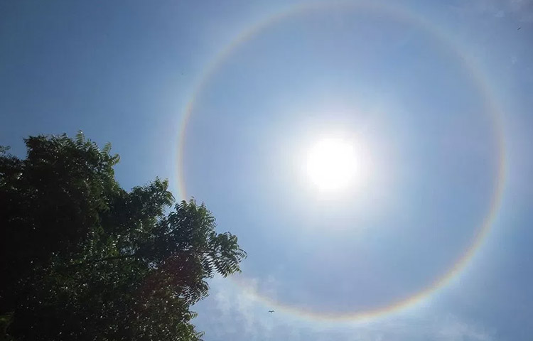 Entenda como se forma o halo solar, fenômeno que encantou pessoenses ...